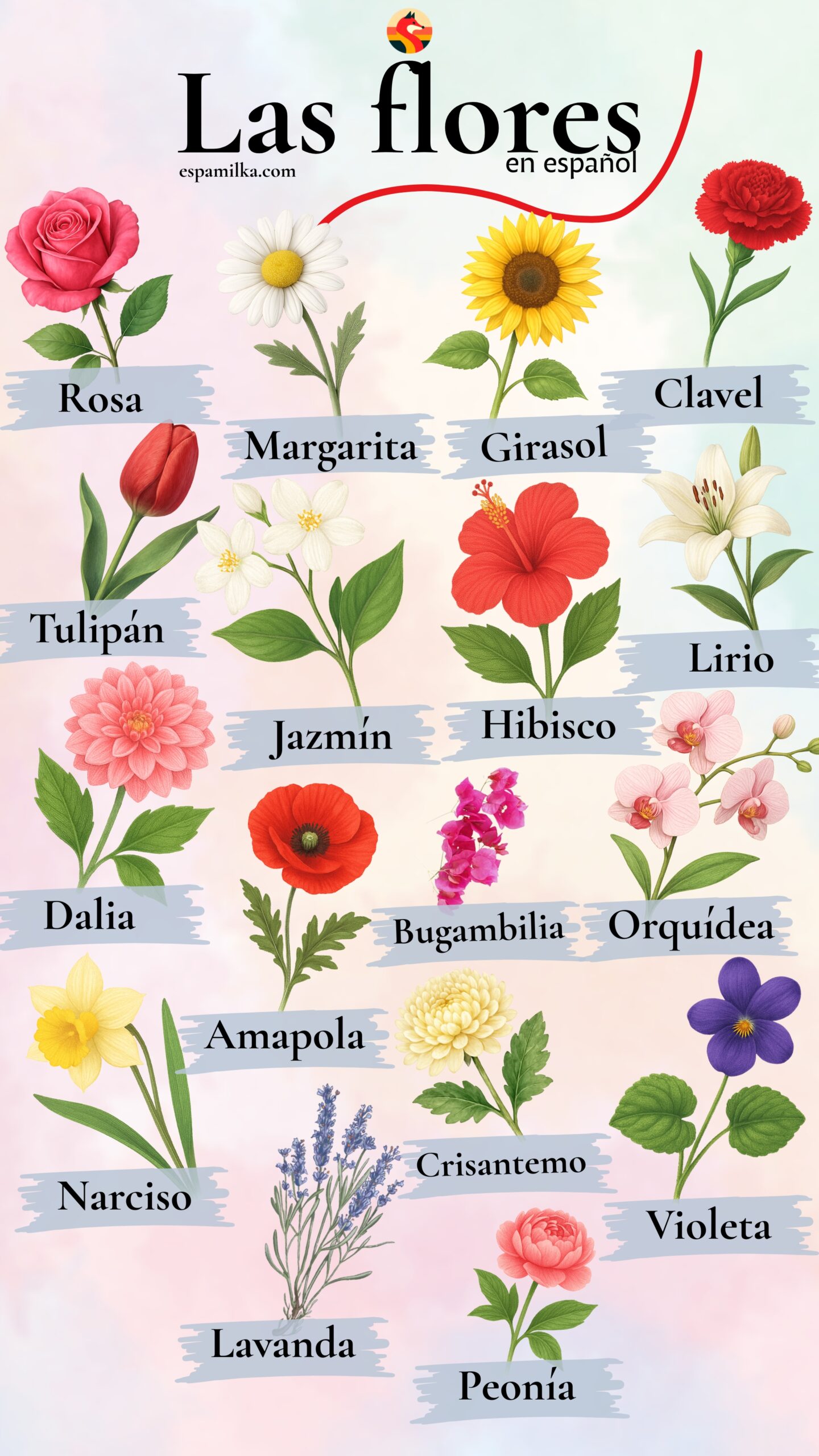 Las flores en español - Vocabulario visual - EspaMilka