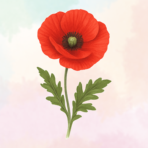 Las flores en español – Vocabulario visual: teoria y actividades de ...