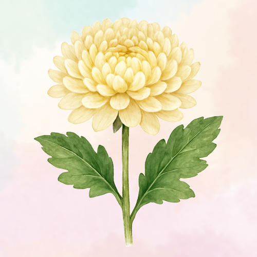 Las flores en español – Vocabulario visual: teoria y actividades de ...